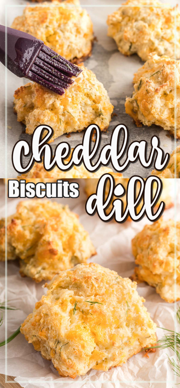 Cheddar Dill Drop Biscuits - Tastes of Homemade