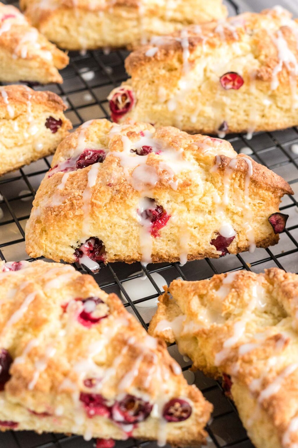 Bakery Style Cranberry Lemon Scones - Tastes of Homemade