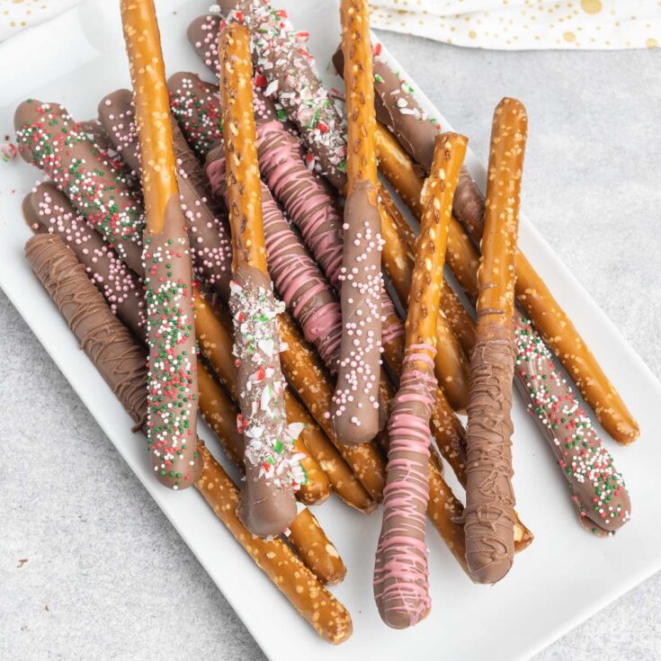 Chocolate Covered Animal Crackers Recipe - Tastes of Homemade