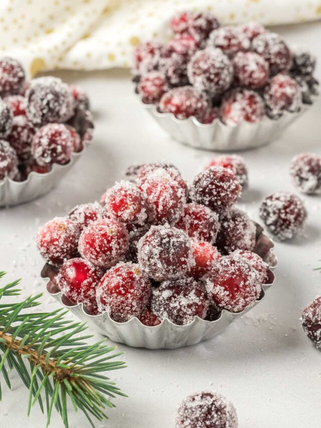 Six Easy Refreshing Fruit Martinis - Tastes of Homemade