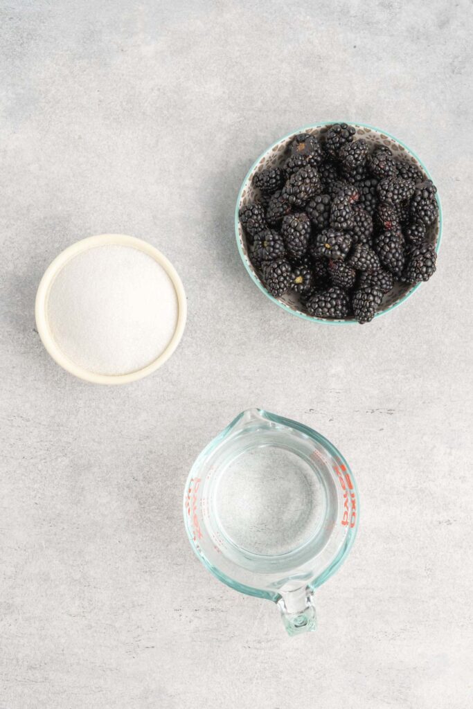 Blackberry Simple Syrup - Tastes of Homemade