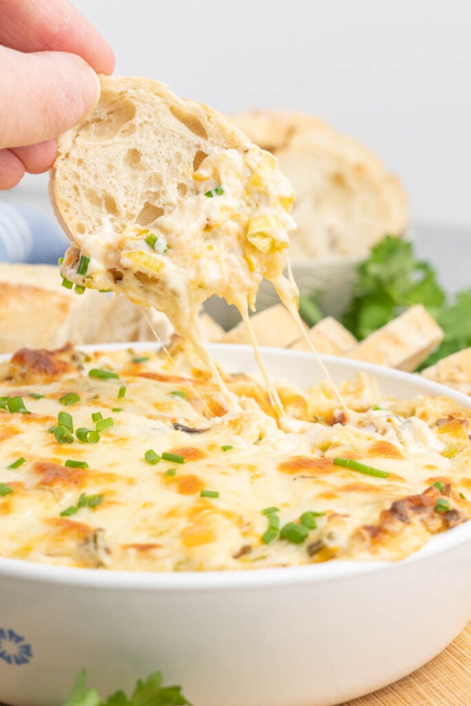 Hot Cheesy Caramelized Leek Dip - Tastes of Homemade