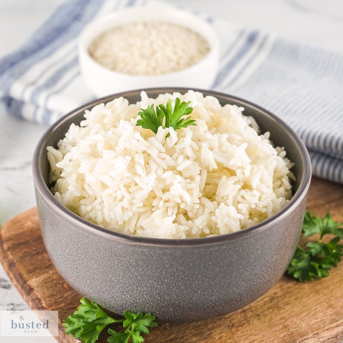 Instant Pot Long Grain Rice - Tastes of Homemade