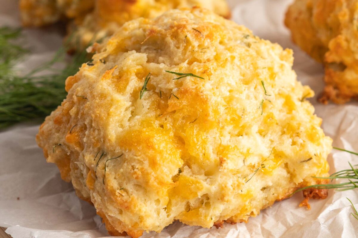 10 Must Try Biscuits and Scones for Any Occasion - Tastes of Homemade